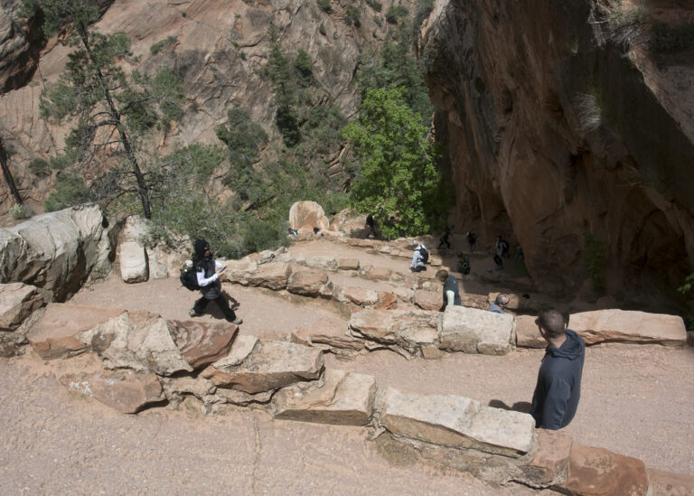 What Is A Switchback In Hiking? In-Depth Switchbacks Hiking Guide