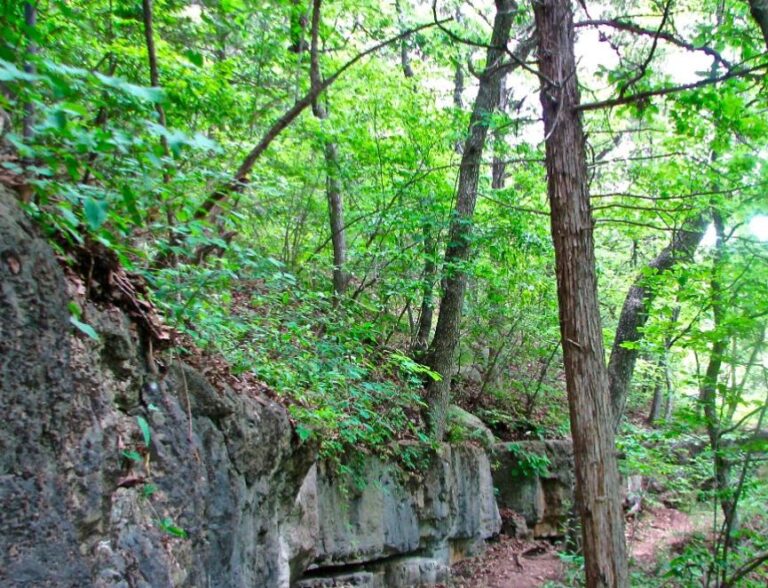 Hiking In Branson MO - The 50 Best Trails - The Fun Outdoors