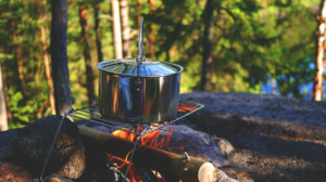 What is Bushcraft? An Intro to the Art of Wilderness Survival - The Fun ...