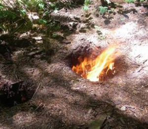 How to Start a Campfire: The Ultimate Guide - The Fun Outdoors
