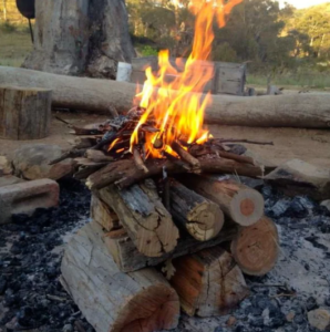 How to Start a Campfire: The Ultimate Guide - The Fun Outdoors